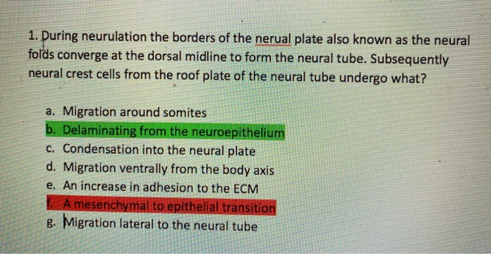 Solved 1. During neurulation the borders of the nerual plate | Chegg.com
