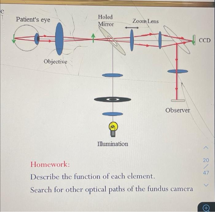 Solved e Patient's eye Holed Mirror Zoom Lens CCD Objective | Chegg.com