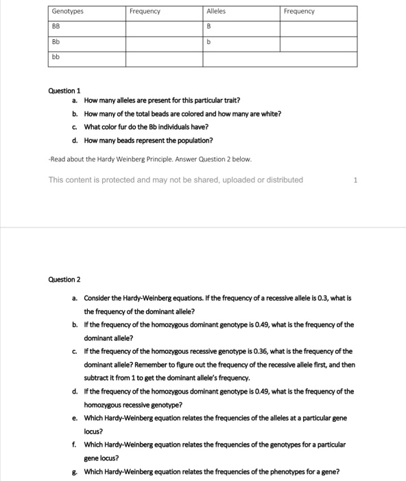 Solved Genotypes Frequency Alleles Frequency BB B Bb b bb | Chegg.com