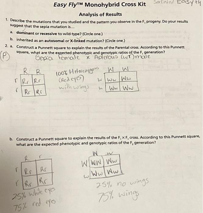 Solved Part 3: Scoring the F1 Flies and Setting Up the F2 | Chegg.com