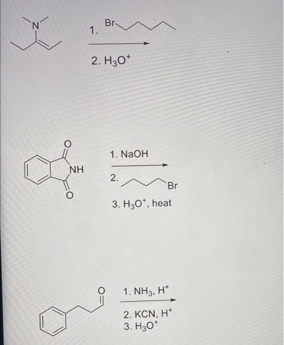 Solved N Br 1. 2. H30* 1. NaOH of t NH 2. Br 3. H3O*, heat | Chegg.com