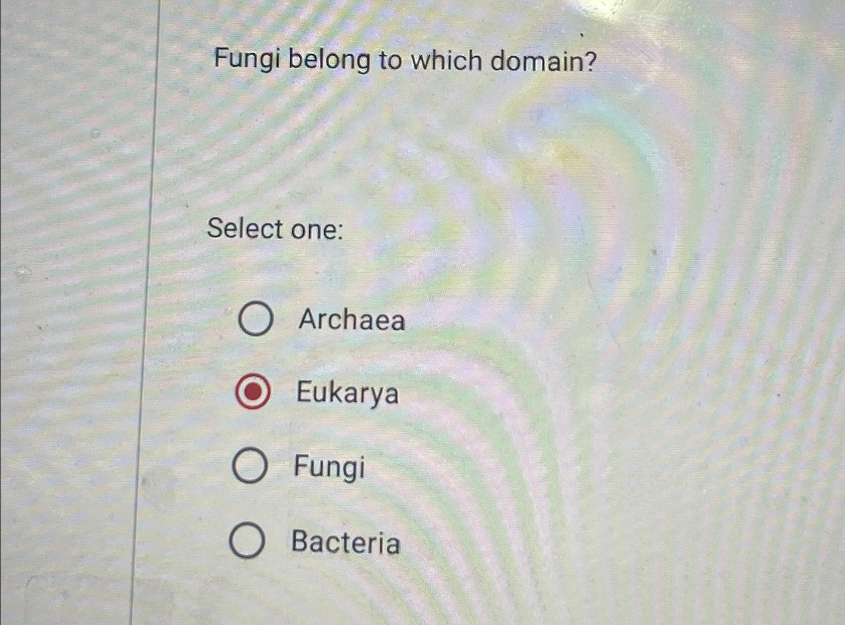 Solved Fungi belong to which domain?Select | Chegg.com
