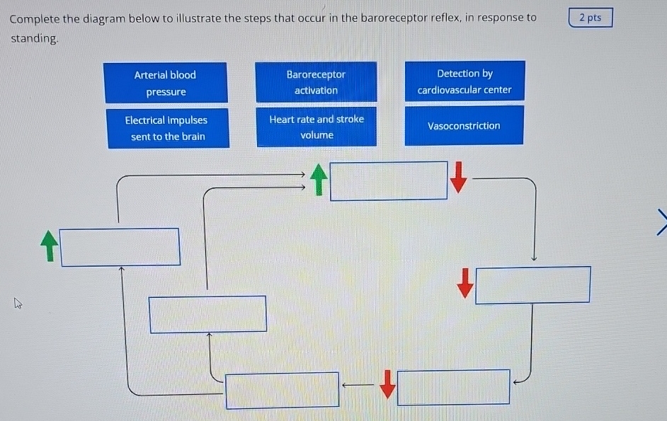 Solved Complete the diagram below to illustrate the steps | Chegg.com