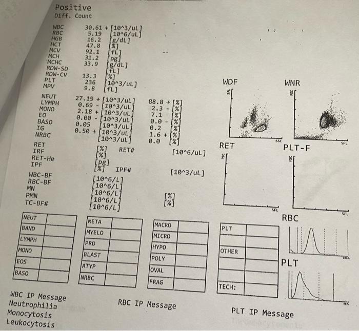 Solved PLT IP Message | Chegg.com