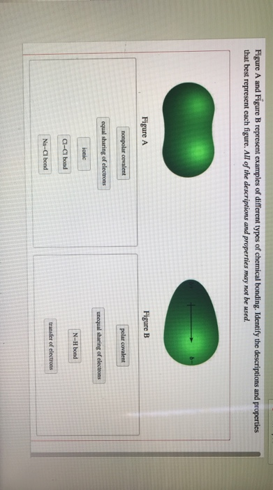 Solved Figure A and Figure B represent examples of different | Chegg.com