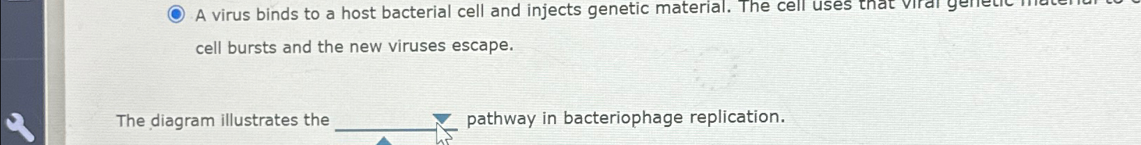 Solved A virus binds to a host bacterial cell and injects | Chegg.com