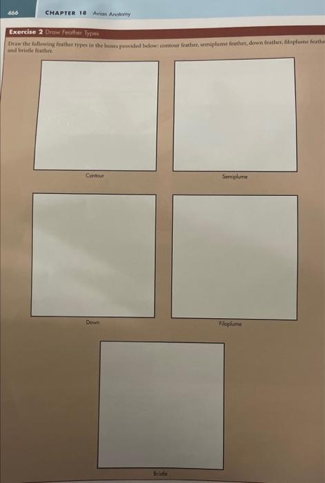 Exercise 2 Draw Featica lypes and Exercise 2 Drem | Chegg.com