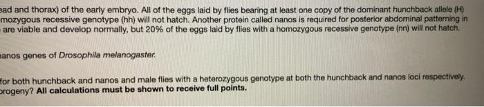 The hunchback protein in Drosophila melanogaster is | Chegg.com