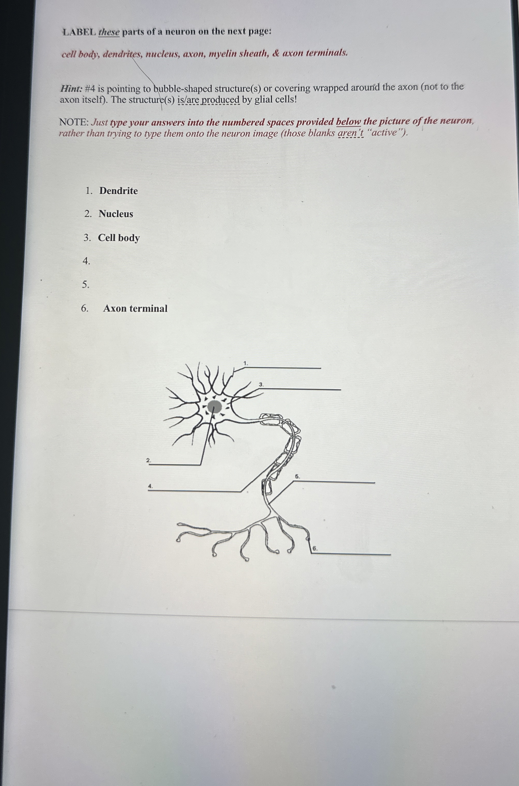 Solved LABEL these parts of a neuron on the next page:cell | Chegg.com