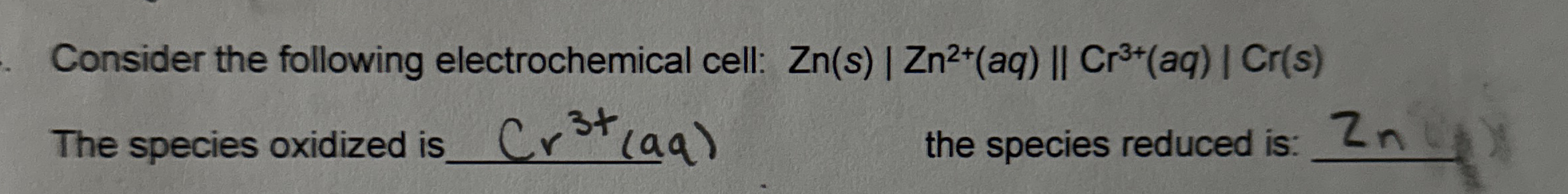 Solved Consider the following electrochemical cell: | Chegg.com