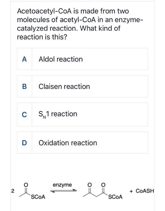 Solved Acetoacetyl-CoA is made from two molecules of | Chegg.com