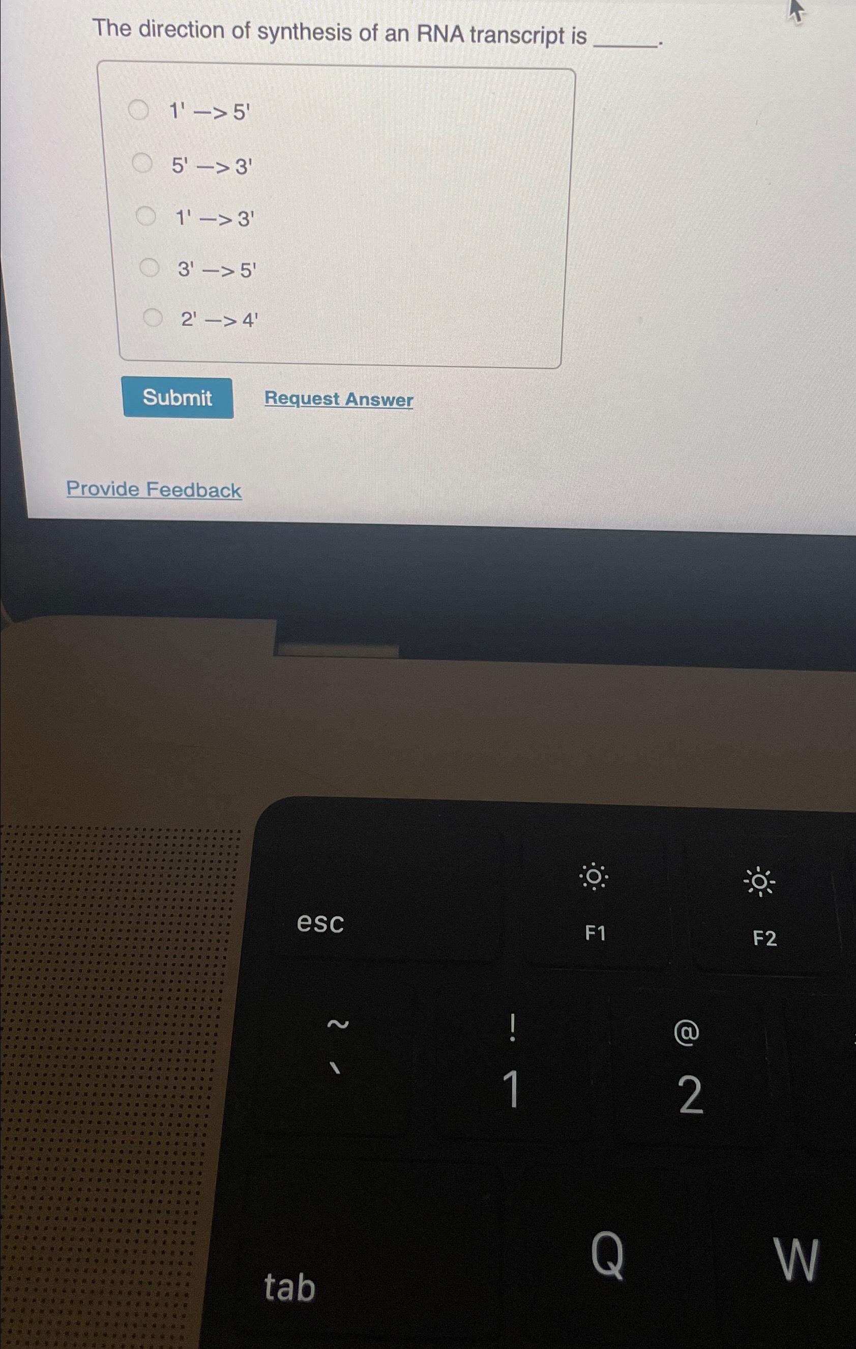 Solved The direction of synthesis of an RNA transcript | Chegg.com