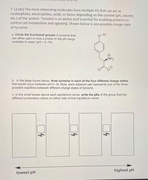 Solved 7. ( 2 pts) The most interesting molecules have | Chegg.com