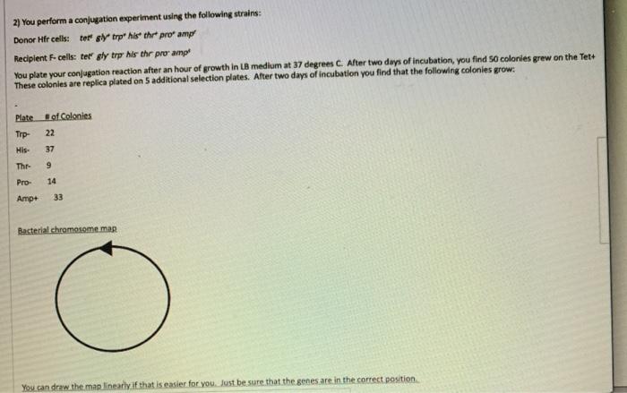 You perform a conjugation experiment using the | Chegg.com