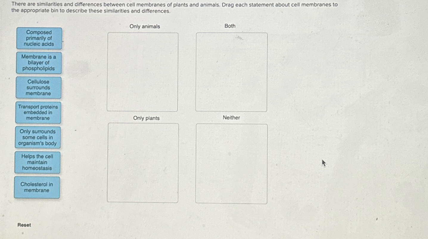 Solved There are similarities and differences between cell | Chegg.com