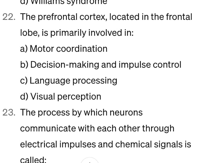 Solved The prefrontal cortex, located in the frontal lobe, | Chegg.com