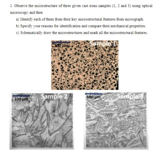 Solved 1. Observe the microstructure of three given cast | Chegg.com
