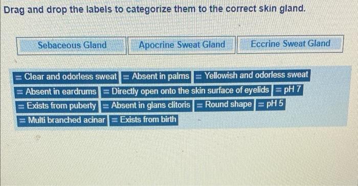 Solved Drag and drop the labels to categorize them to the | Chegg.com