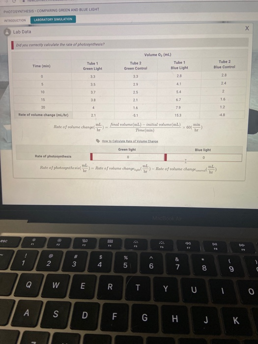 Solved i need to calculate the rate of photosythesis for the | Chegg.com