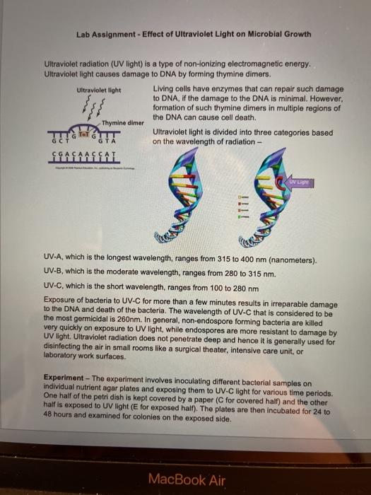 Solved Lab Assignment - Effect of Ultraviolet Light on | Chegg.com