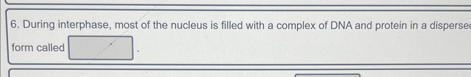 Solved During interphase, most of the nucleus is filled with | Chegg.com