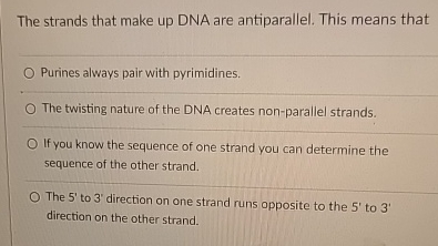 Solved The strands that make up DNA are antiparallel. This | Chegg.com
