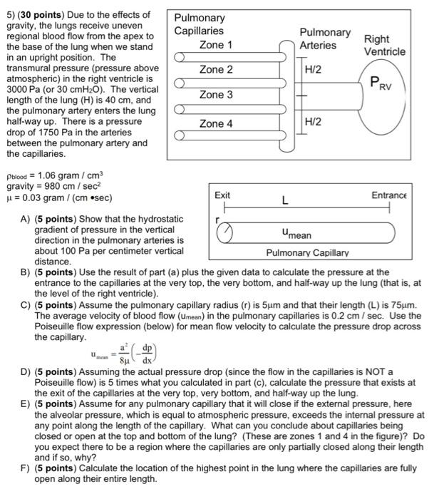 Solved 5) (30 points) Due to the effects of gravity, the | Chegg.com