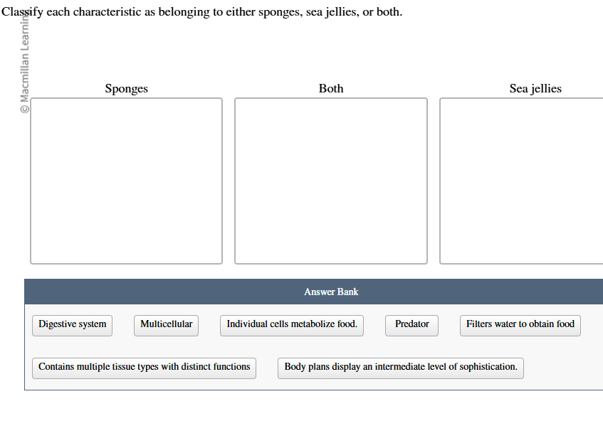 Solved Classify each characteristic as belonging to either | Chegg.com