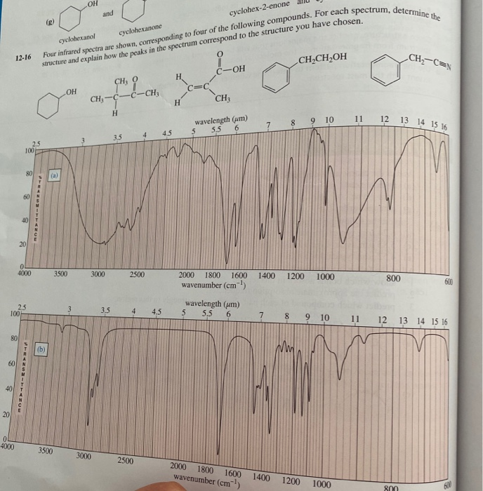 Solved RULAN Cyclohexanone 12-16 cyclohex-2-ence and | Chegg.com
