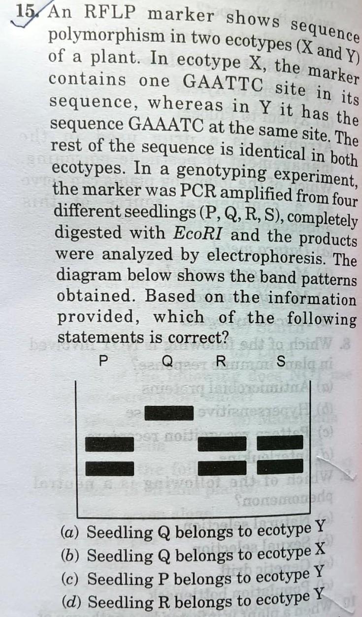 Solved 15. An RFLP marker shows sequence polymorphism in two | Chegg.com