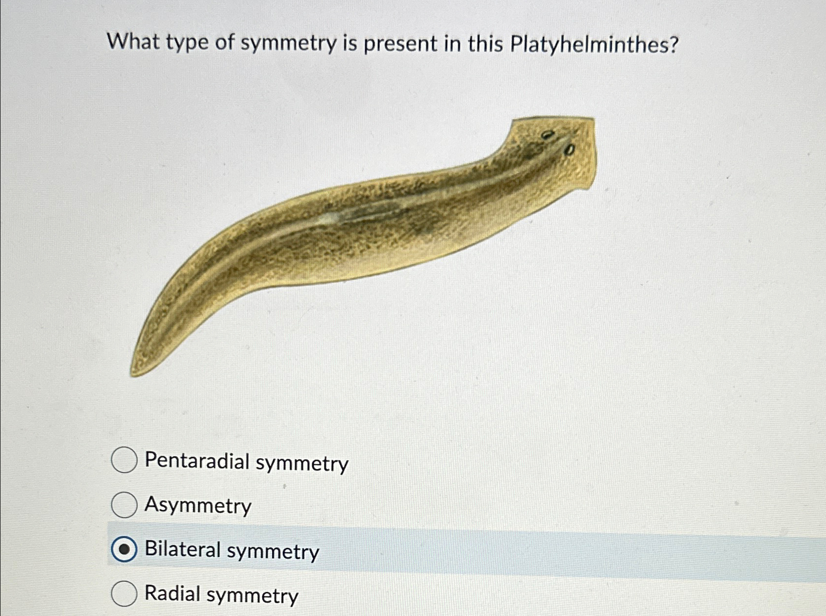 Solved What type of symmetry is present in this | Chegg.com