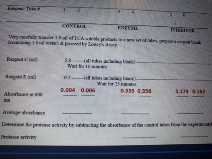 Using the protease activity value (from included data | Chegg.com
