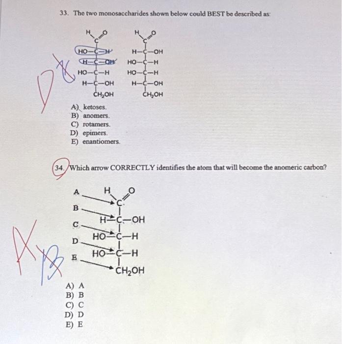 Solved 33. The two monosaccharides shown below could BEST be | Chegg.com