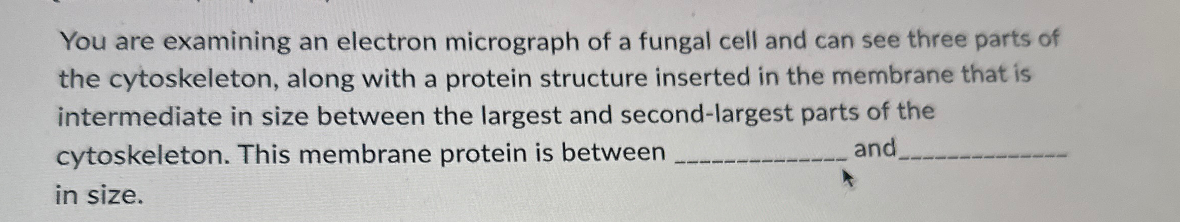 Solved You are examining an electron micrograph of a fungal | Chegg.com
