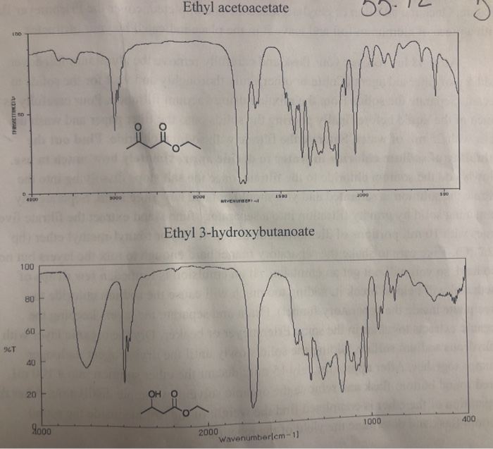 Solved Ethyl acetoacetate Orca Ethyl 3-hydroxybutanoate 20 | Chegg.com