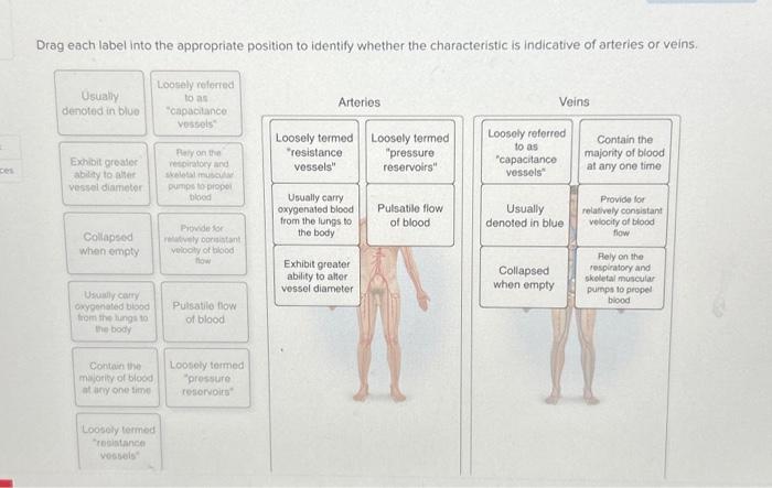 Solved Indicate whether each structure is part of the | Chegg.com