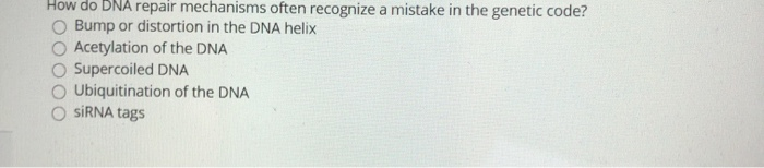 Solved An environmental toxin causes a DNA double-stranded | Chegg.com