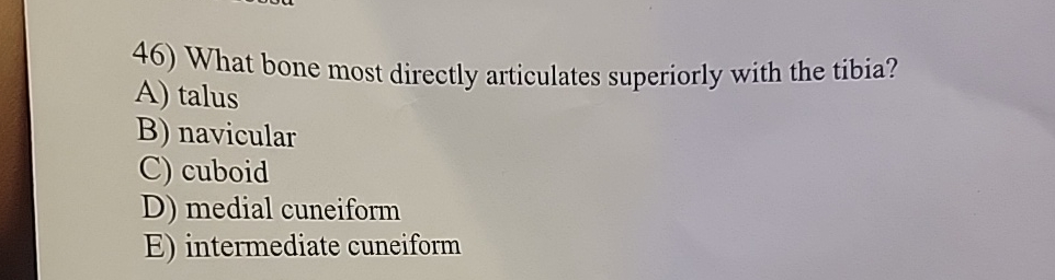 Solved What bone most directly articulates superiorly with | Chegg.com