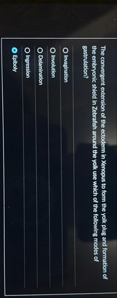 Solved The convergent extension of the ectoderm in Xenopus | Chegg.com