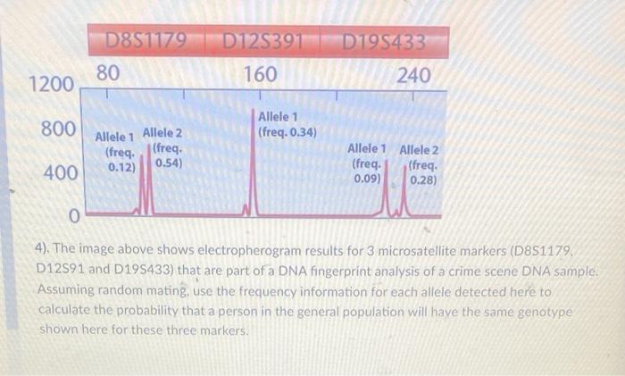 4). The image above shows electropherogram results | Chegg.com