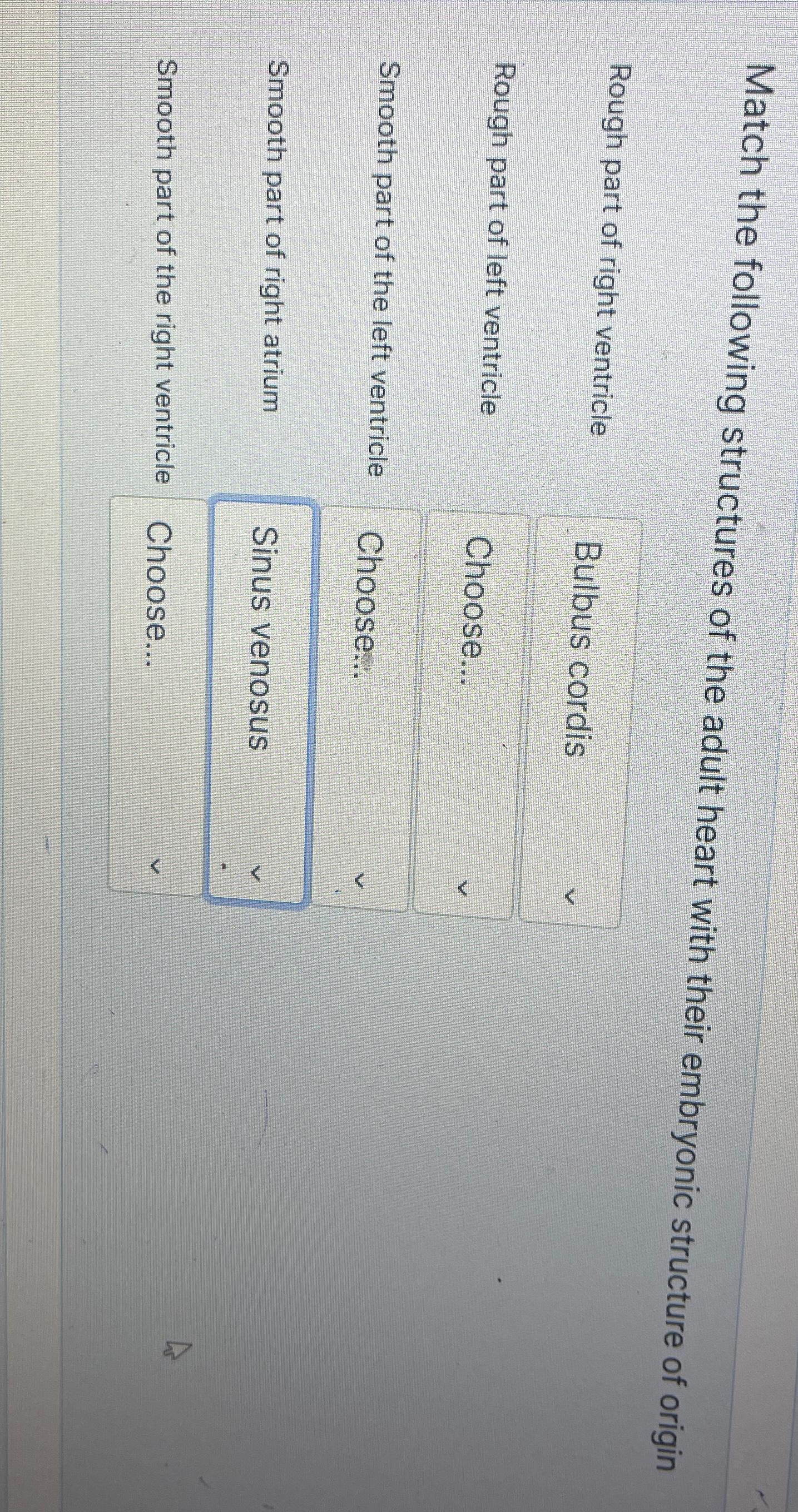 Solved Match the following structures of the adult heart | Chegg.com