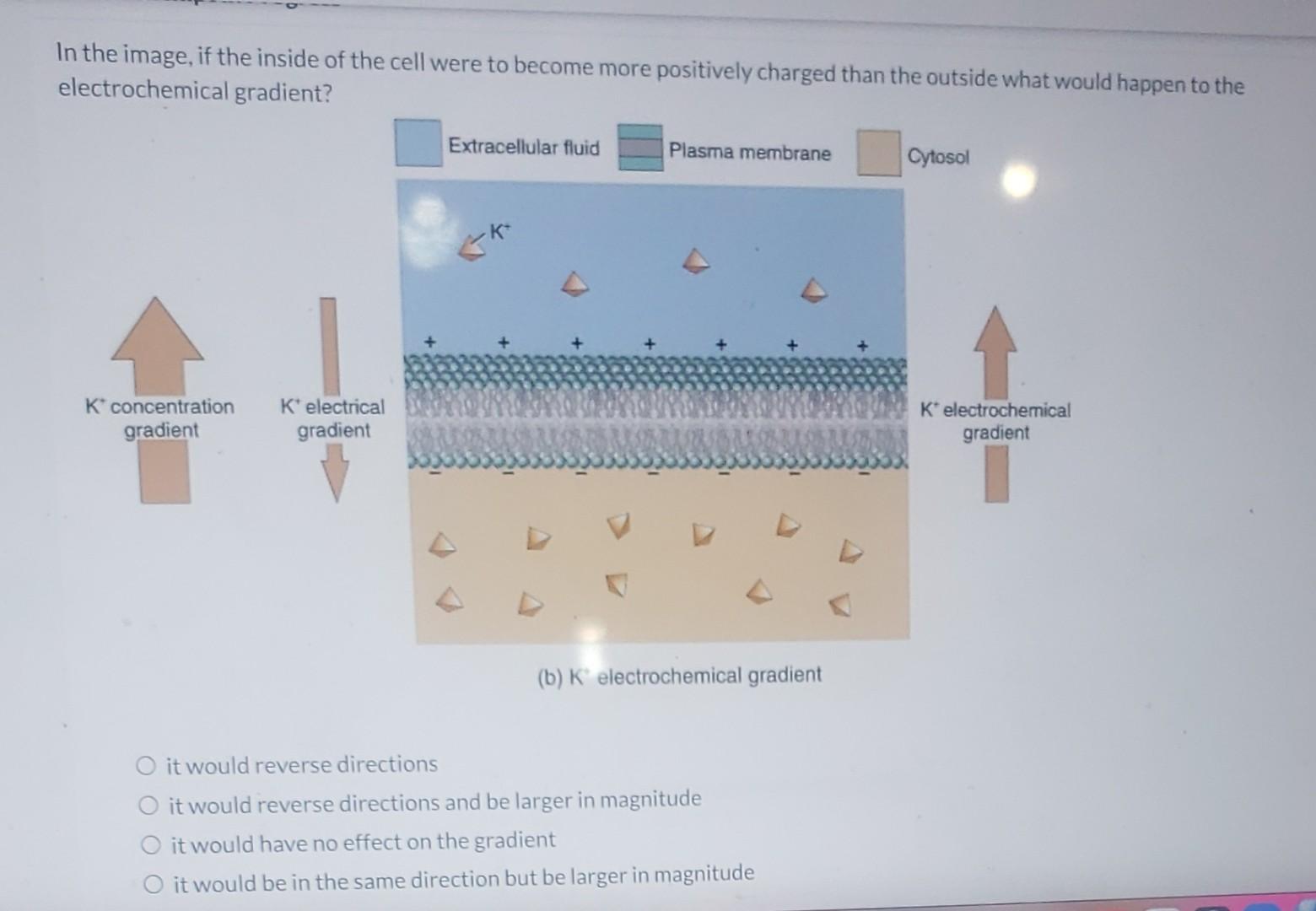 Solved In the image, if the inside of the cell were to | Chegg.com