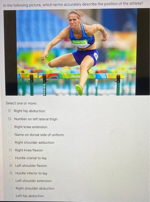 Solved In the following picture, which terms accurately | Chegg.com