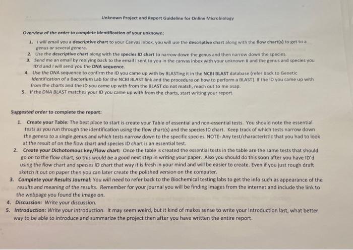 Unknown Project and Report Guideline for Online | Chegg.com