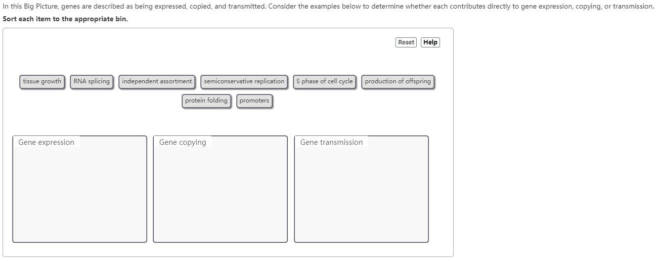 Solved The nuclear membrane's role in the regulation of gene | Chegg.com