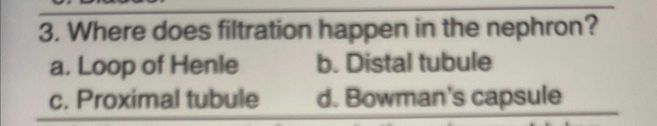 Solved Where does filtration happen in the nephron?a. ﻿Loop | Chegg.com