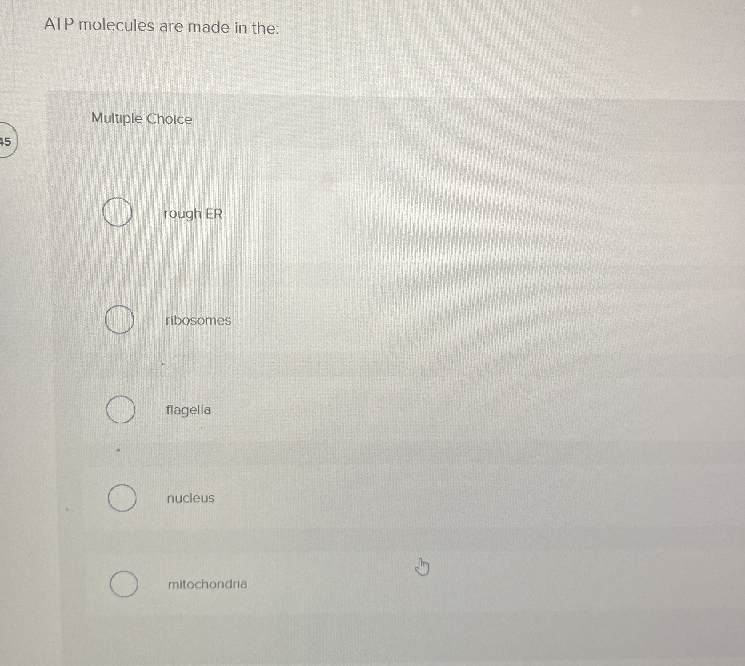 Solved ATP molecules are made in the:Multiple Choice45 | Chegg.com