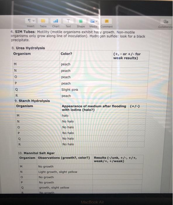 Solved Collaborate т T Insert Table Chart Text Shape Media | Chegg.com