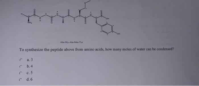 Solved To synthesize the peptide above from amino acids, how | Chegg.com