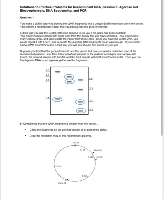 Solved Solutions to Practice Problems for Recombinant DNA, | Chegg.com